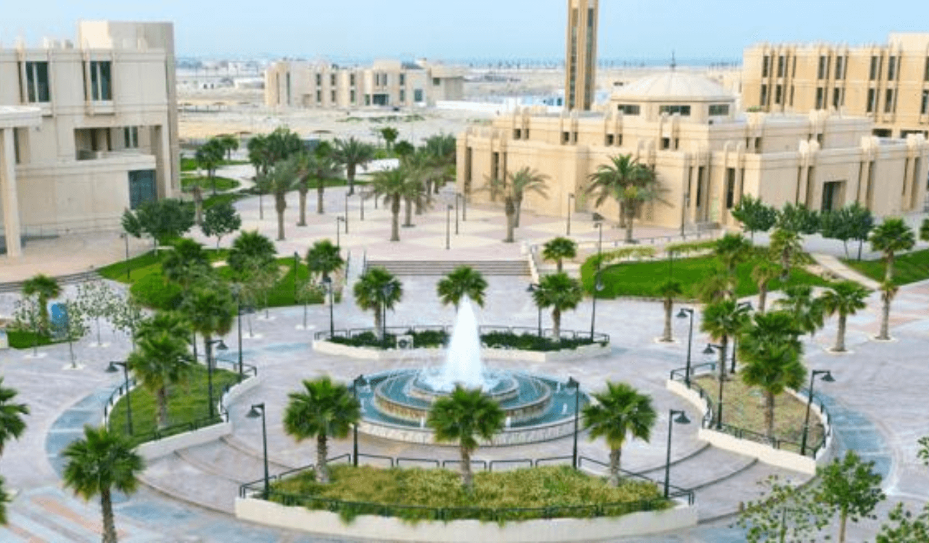 Projects | Saudi Arabia - FlowCon IVC