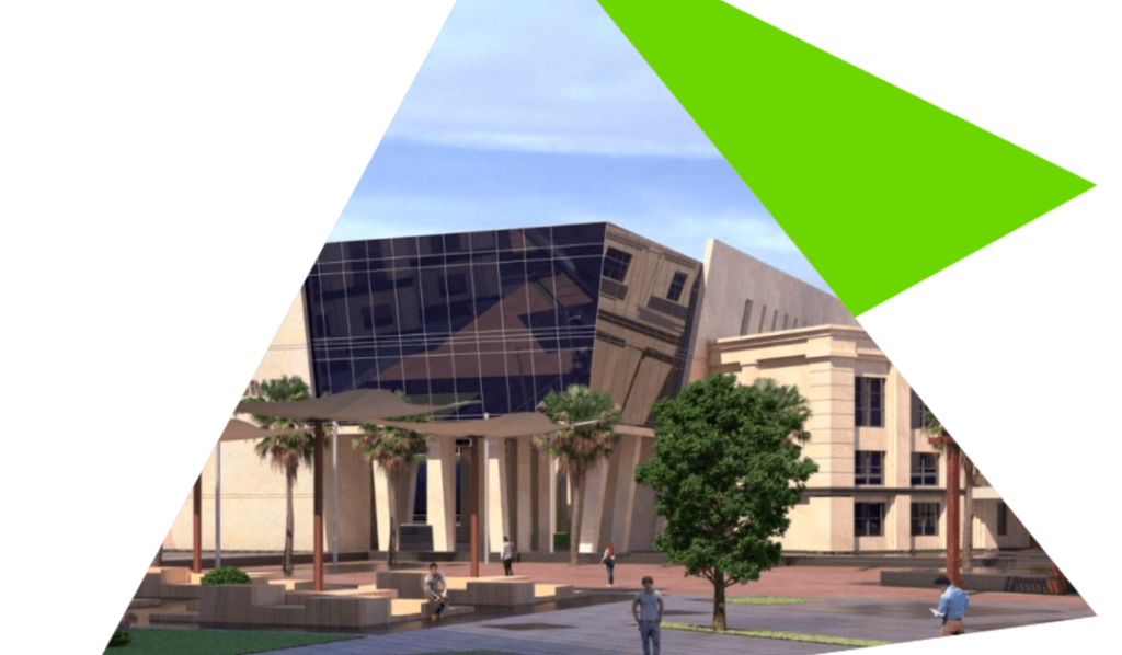 Projects | Egypt - FlowCon IVC