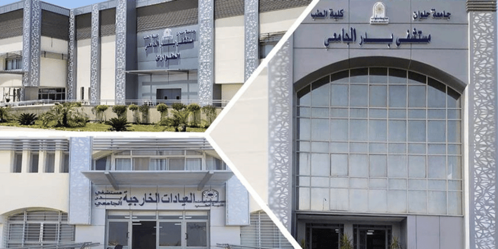 Projects | Egypt - FlowCon IVC